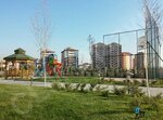 Clm Dizayn Peyzaj (Sakarya, Arifiye, Arifbey Mah.), mimari proje firmaları  Arifiye'den