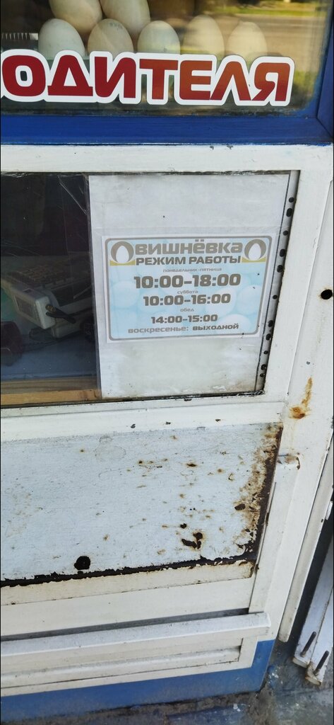 Kanatlı hayvan ürünleri ve yumurta Яйца, Svetlahorsk, foto