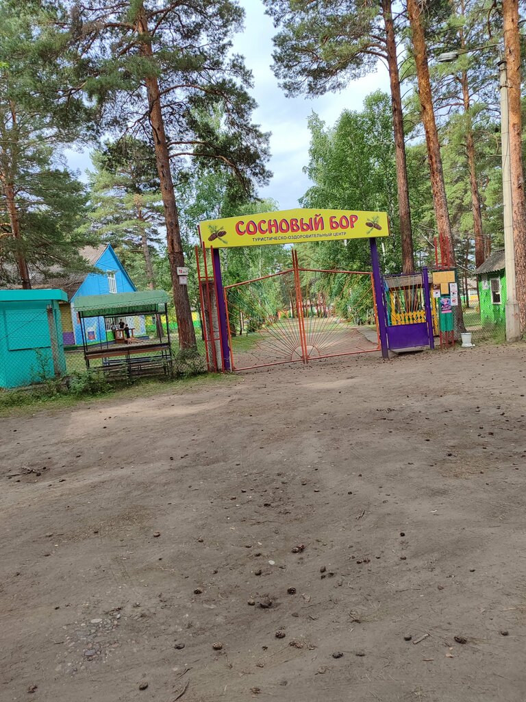 Yaz kampı Сосновый Бор, Krasnoyarski krayı, foto