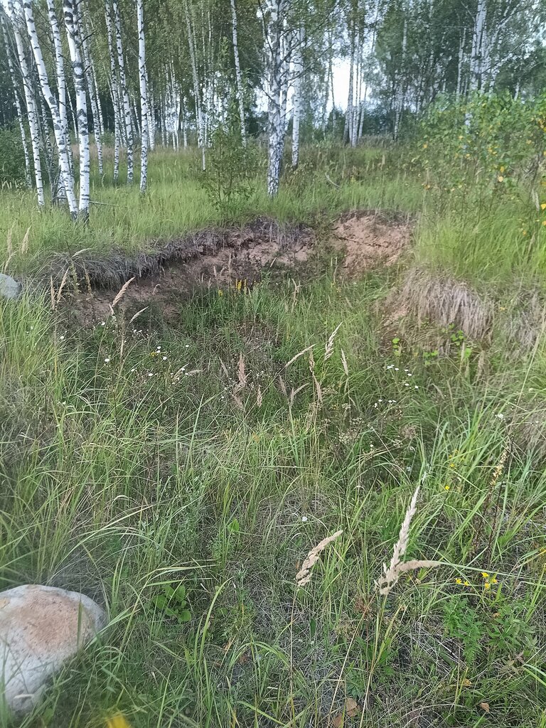 Anıt, heykel Казакам М.И. Платова, Smolenskaya oblastı, foto