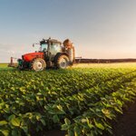 Mineraleshamon (Distrital Santiago de Surco, Avenida Raúl Ferrero, 1), madencilik işletmeleri  Lima Bölgesi'nden