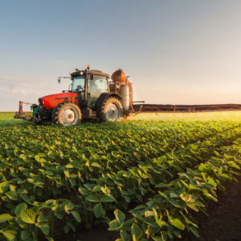 Madencilik işletmeleri Mineraleshamon, Lima, foto