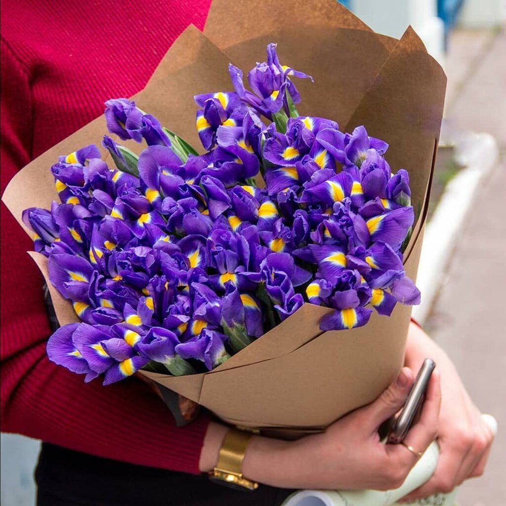 Çiçekçiler Navoi Flowers, Maykop, foto