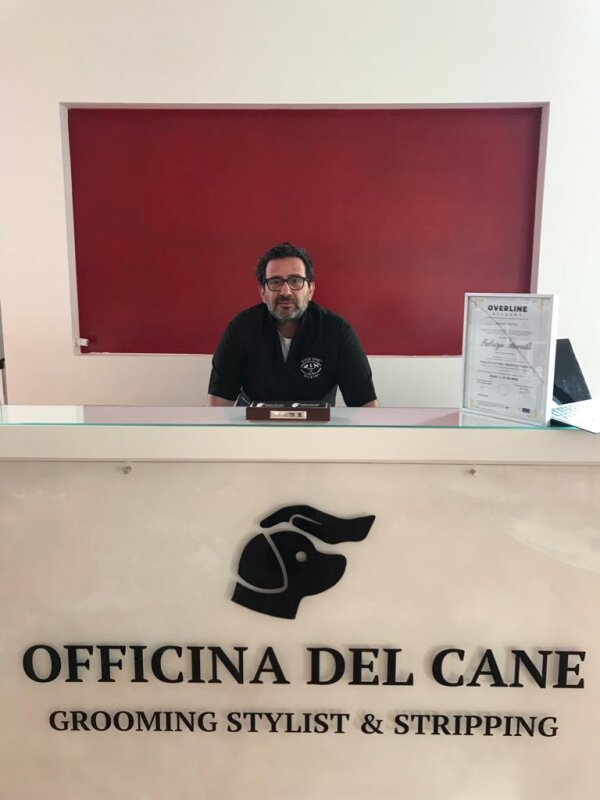 Evcil hayvan yetiştiricileri Toelettatura Officina del cane, Katanya, foto