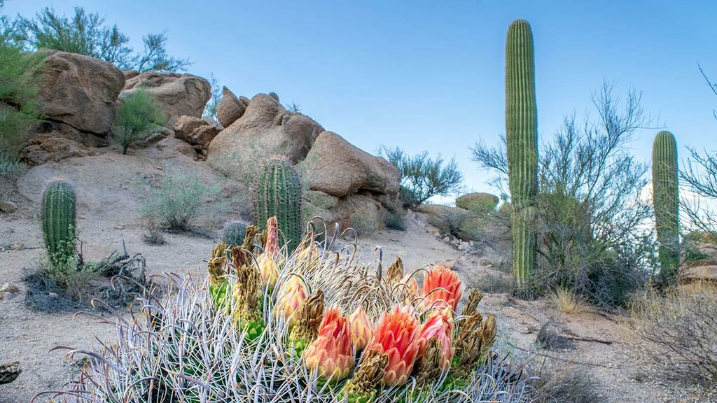 Avukatlar Law Office of Eric A Thomson, Arizona Eyaleti, foto