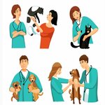 Clinica Veterinaria El Ceibo (Avenida Miramar No:9, Huelva), veteriner materyalleri ve ekipmanları  Miramar'dan