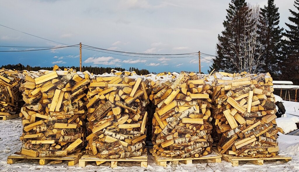 Kerestecilik, ağaç satışı Ekoles, Sverdlovskaya oblastı, foto