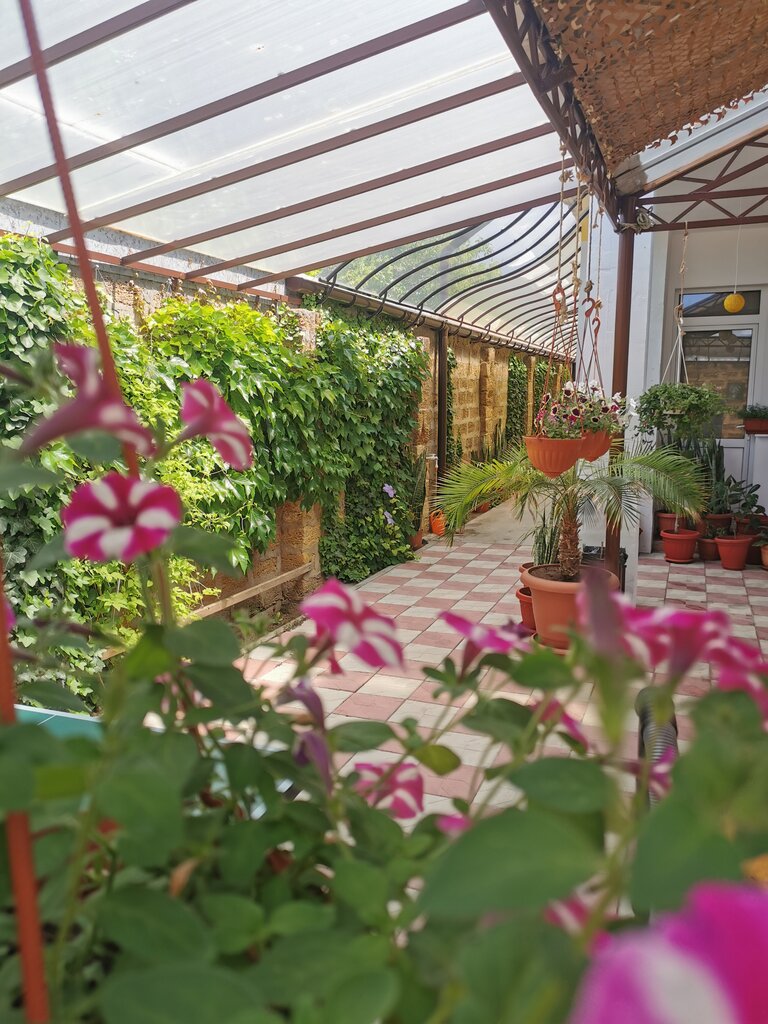 Resort oteller, tesisler Дом для отдыха, Kırım Cumhuriyeti, foto