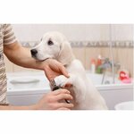 SPA Tu Perro SPA Tu Gato (Bogotá, Engativá, Bolivia Occidental, Calle 81, 109-10), petshop