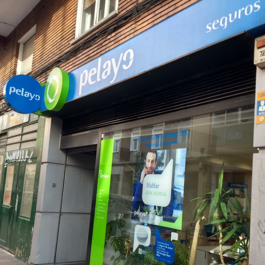 Sigorta şirketleri Oficina Seguros Pelayo, Valladolid, foto