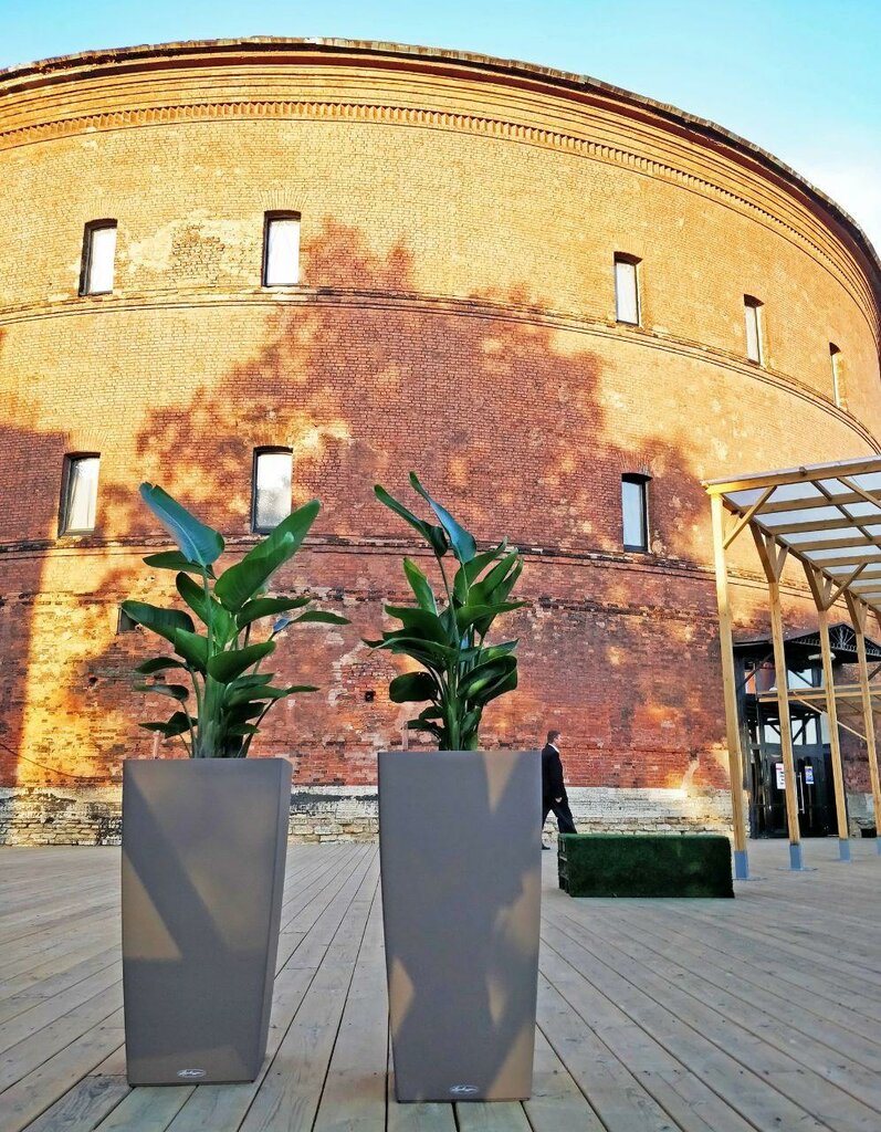 Çevre peyzaj hizmetleri Plantacia landscaping studio, Saint‑Petersburg, foto