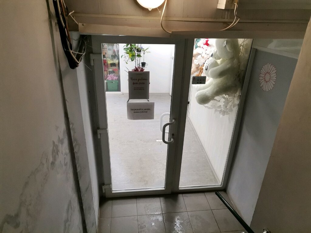 Çiçekçiler База цветов, Riazan, foto