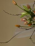 Secret Garden (Narodniy Boulevard No:32), çiçekçiler  Belgorod'dan
