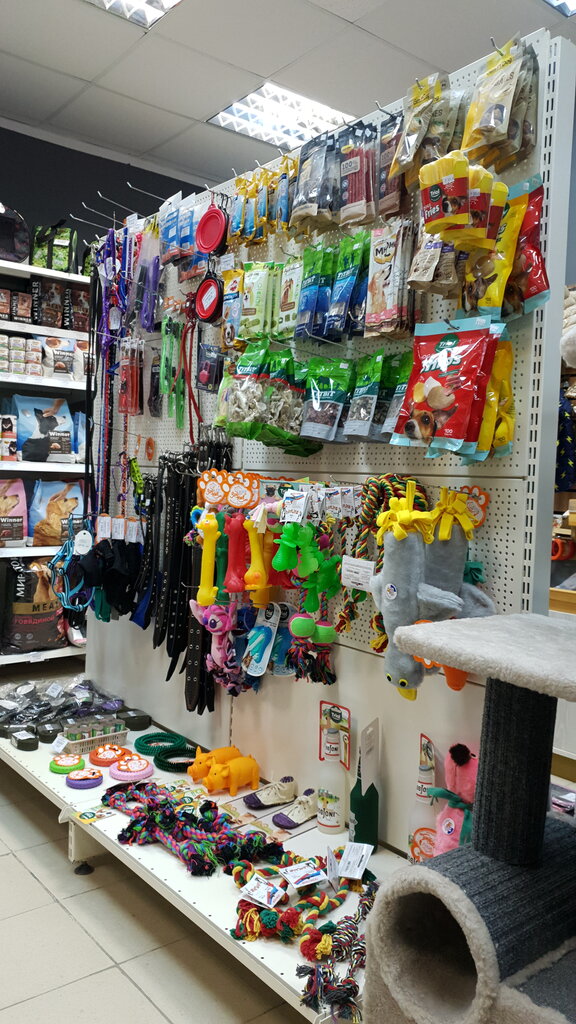 Petshop Home Octopoda, Dolgoprudny, foto