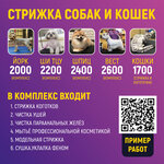 Pushistik (Golovinskoye Highway No:5к1), evcil hayvan kuaförleri  Moskova'dan