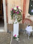 I Fiori di Alessandra Vivado (Piedmont, Provincia di Cuneo, Via Marenco, 33), çiçek teslimatı  Piyemonte'den