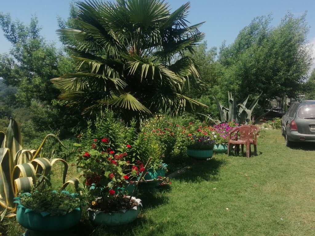 Otel Гостевой дом у Акопа и Галины, Gudauta Bölgesi, foto