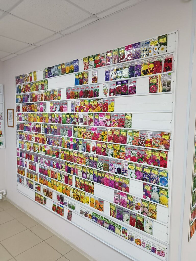 Tohum satan yerler Omsksortsemovoshch, Omsk, foto