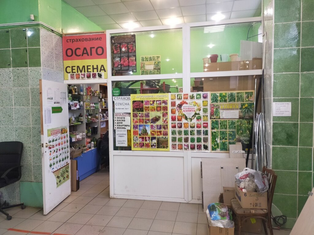 Tohum satan yerler Магазин семян, Nijni Novgorod, foto