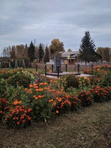Воинам-землякам, погибшим в годы Великой Отечественной войны (Krasnoyarsk Territory, Abanskiy rayon, Turovskiy selsovet, selo Turovo), anıt, heykel  Krasnoyarski krayından