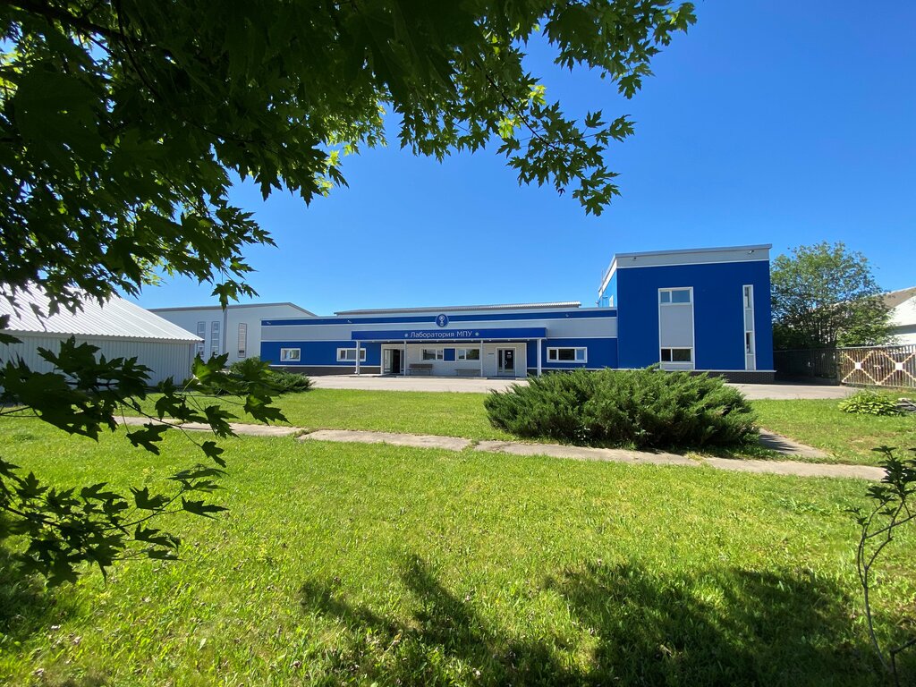 Ar-ge şirketleri Labmpu, Moskova ve Moskovskaya oblastı, foto