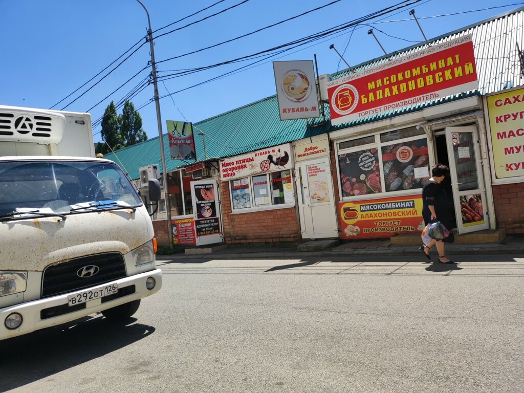 Kanatlı hayvan ürünleri ve yumurta Кубань-М, Stavropol, foto