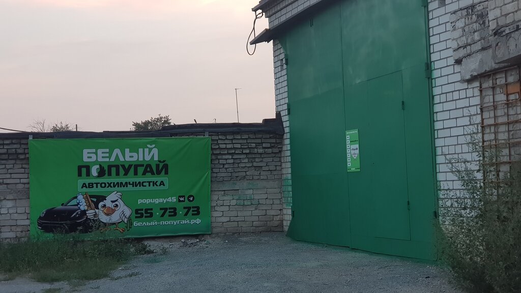 Detaylı oto bakımı White popugay, Kurgan, foto