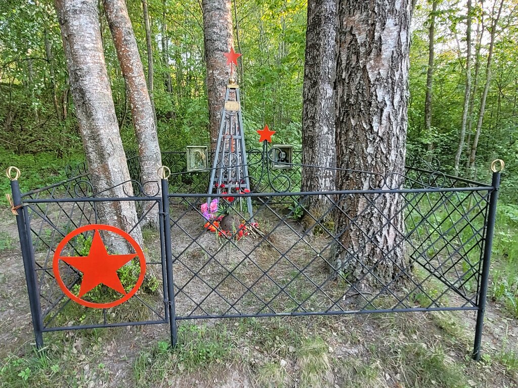 Anıt, heykel Неизвестный солдат, Saint‑Petersburg ve Leningradskaya oblastı, foto