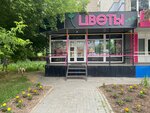 Pro цветы (Volokha Street No:3), çiçekçiler  Engels'ten
