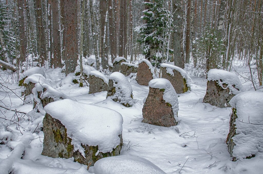 Turistik yerler Линия противотанковых надолбов, Saint‑Petersburg ve Leningradskaya oblastı, foto