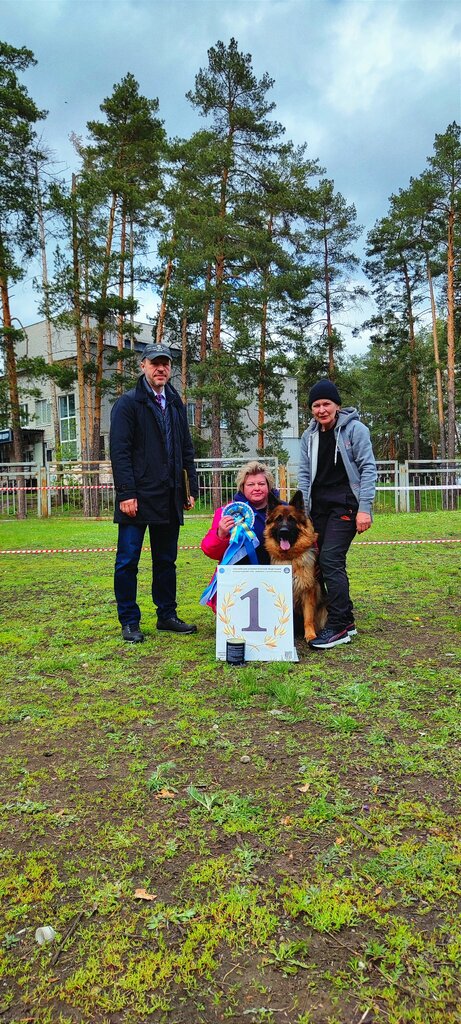 Evcil hayvan yetiştiricileri Дом Шебис, Samara, foto