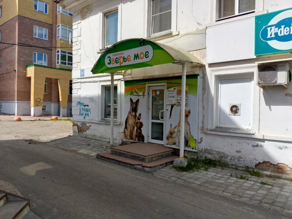 Petshop Зверье мое, Syktivkar, foto