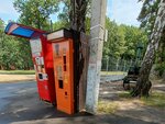 El Africa (gorodskoy okrug Voronezh, Tsentralniy District), kahve otomatı  Voronej'den