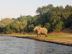 Pakasangano Safaris (Martin Mwamba Road No:3803), seyahat acenteleri  Lusaka'dan