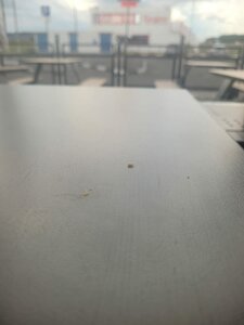 Rostic's (Moscow Region, Odintsovskiy Urban District, M-1 Belarus, 35-y kilometr, 2), fast food  Moskova ve Moskovskaya oblastından