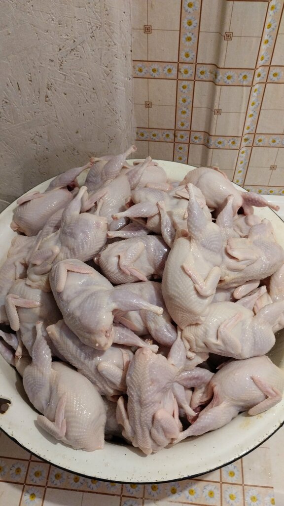 Kanatlı hayvan ürünleri ve yumurta Three Chicken, Saint‑Petersburg ve Leningradskaya oblastı, foto