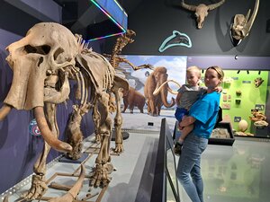 Universe History Museum (No:44, derevnya Talitsy), müzeler ve sanat galerileri  Moskova ve Moskovskaya oblastından