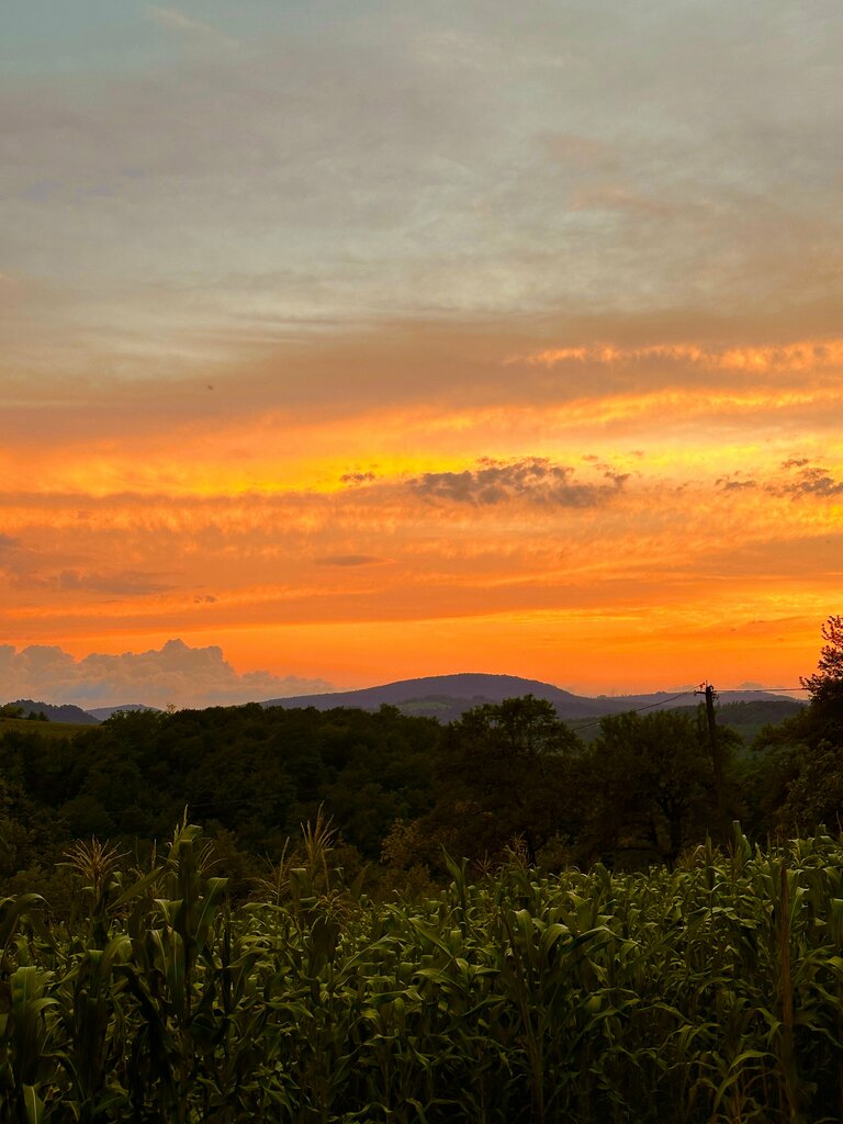 Tren istasyonu Chkepi Station, , foto