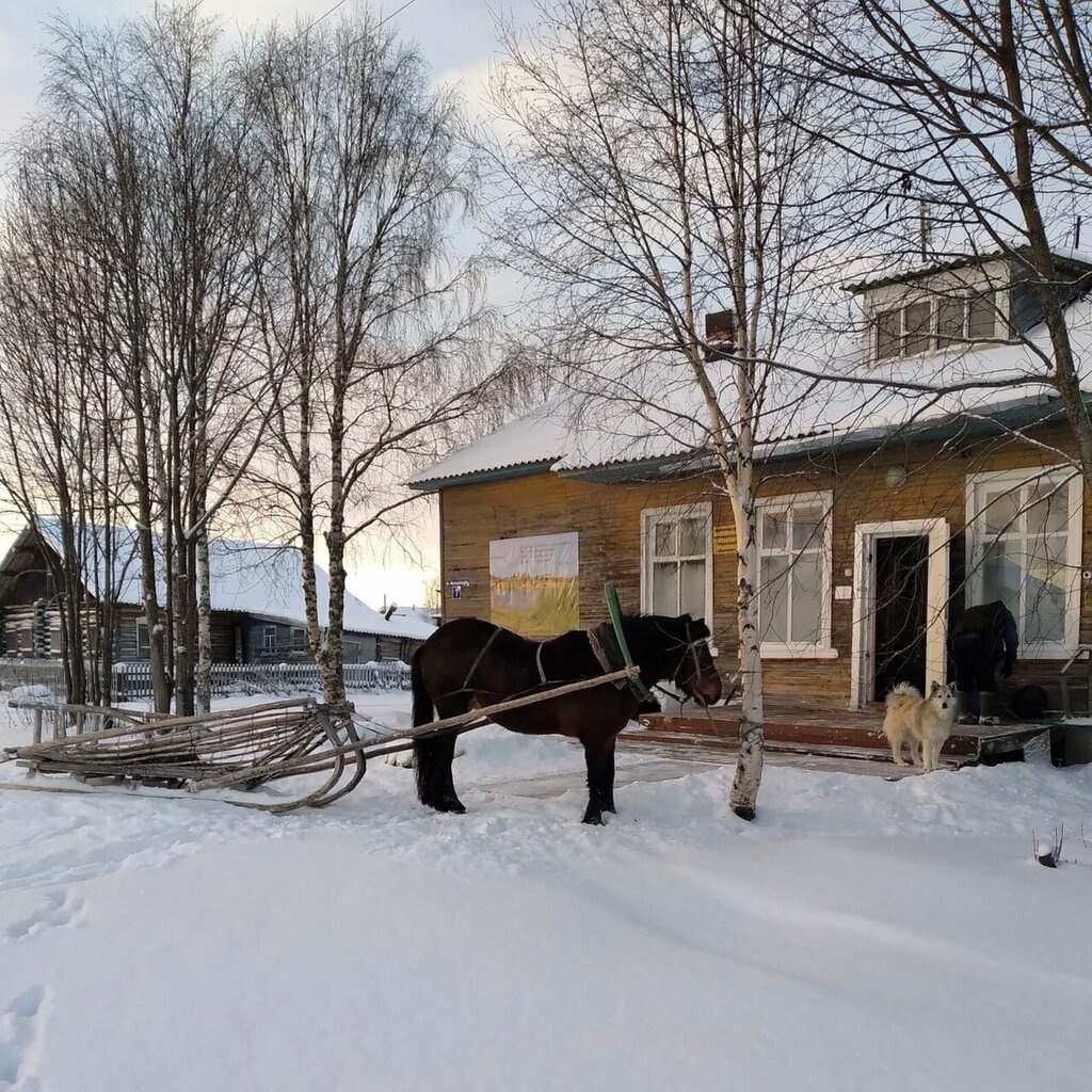 Aile sağlığı merkezi Safonovsky Medpunkt, Arhangelskaya oblastı, foto