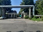 Progresul Dendrologic (strada Pădurii No:18), sivil toplum kuruluşları  Kişinev'den