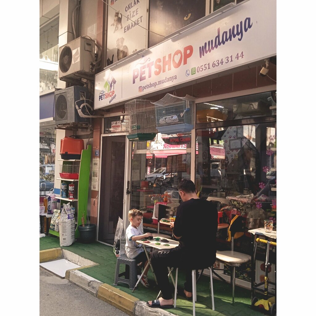 Petshop Pet Shop Mudanya, Mudanya, foto