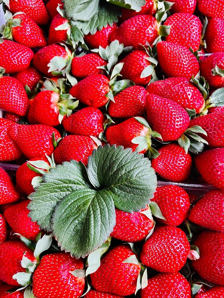 Kasap, şarküteri Шашлык - Мясо, Rostovskaya oblastı, foto