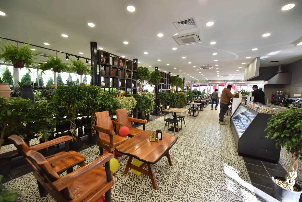 Kültür ve eğlence parkları Mogan Parkı, Ankara, foto