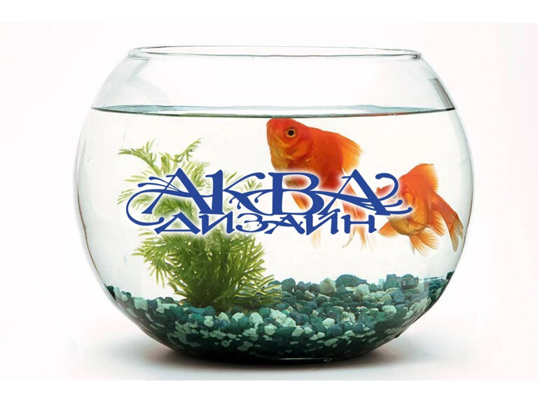 Petshop Akvadizayn, Vologda, foto