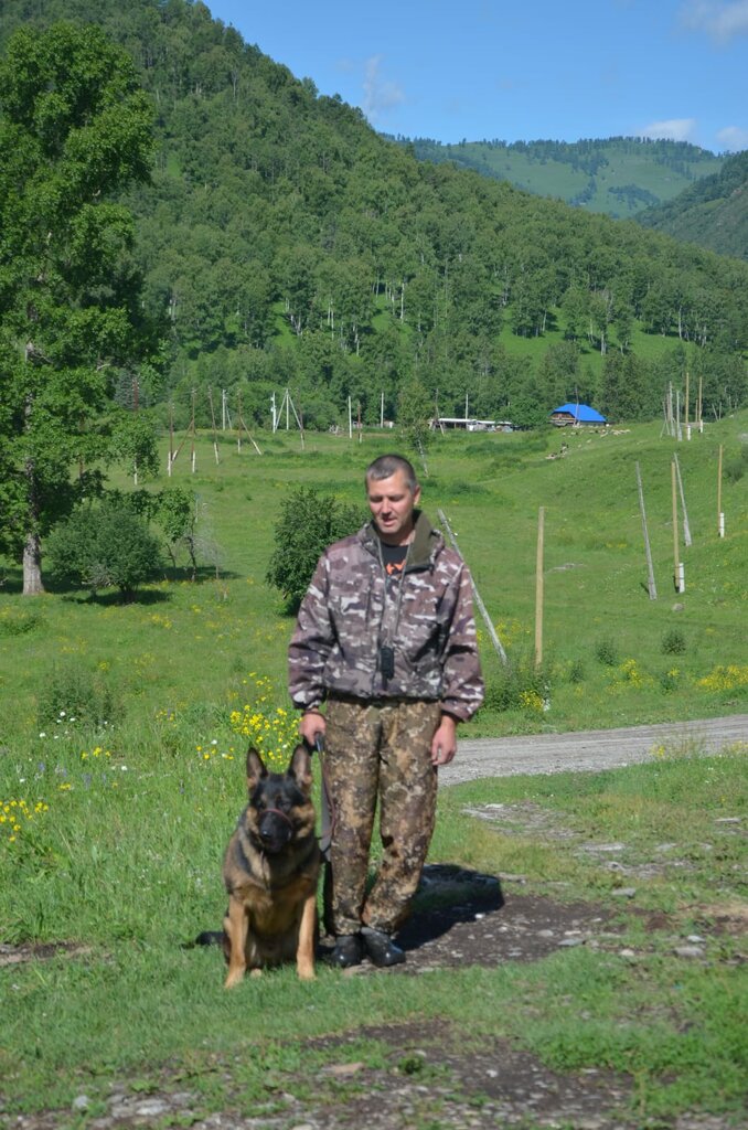 Evcil hayvan yetiştiricileri Горный Хрусталь Алтая, Altayski krayı, foto