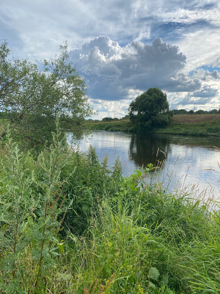 At ve binicilik kulüpleri Солнечная поляна, Moskova ve Moskovskaya oblastı, foto