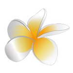 KheppiFlora (Niezaliezhnasci Avenue No:11к2), çiçekçiler  Minsk'ten