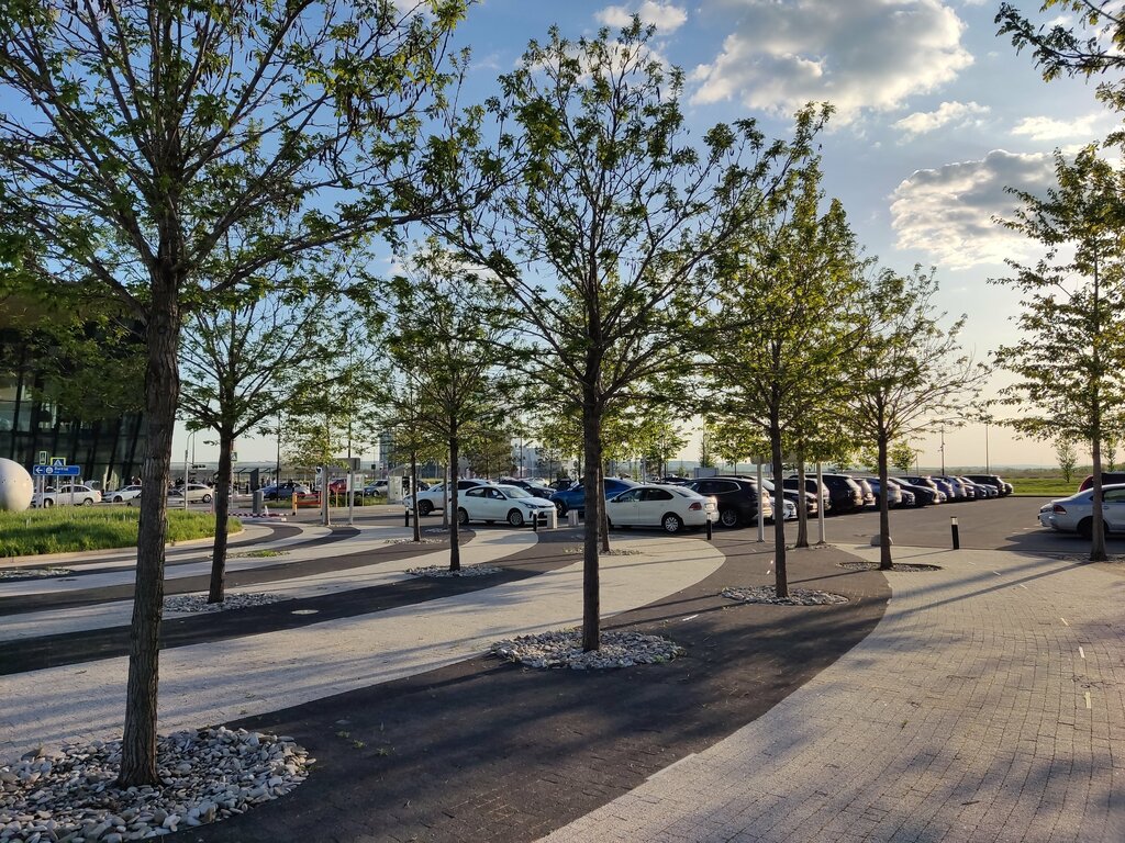 Otoparklar P1 Parking, Saratovskaya oblastı, foto