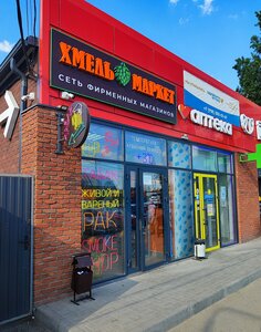Хмель Маркет (Kurskaya Street No:13), bira dükkanı  Rostov‑na‑Donu'dan