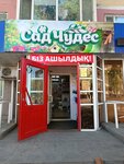 Sad chudes (ulitsa Toraygyrova No:73), tohum satan yerler  Pavlodar'dan
